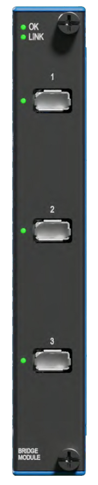 Bently Nevada Orbit 60R/BRG01 Bridge Module | Instrumart