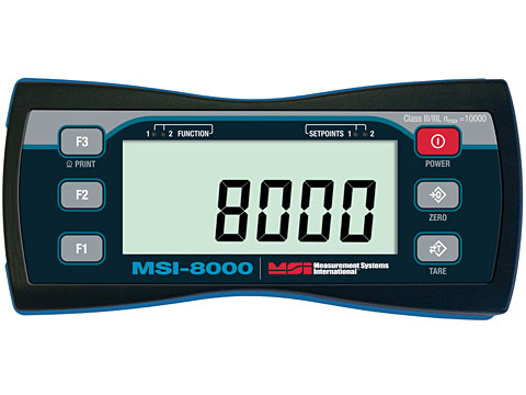 Rice Lake MSI-8000 RF Remote Display | Instrumart
