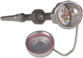 Watlow RT Style RTD with Thermowell | Thermocouples / RTDs | Instrumart